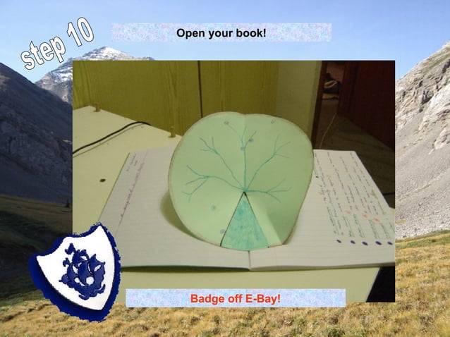 Pop River Basin | PPT