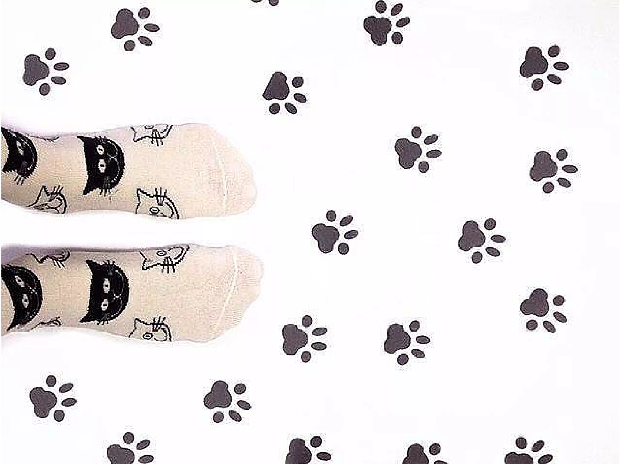 Pop-up-schoolshop Happy Socks | PDF
