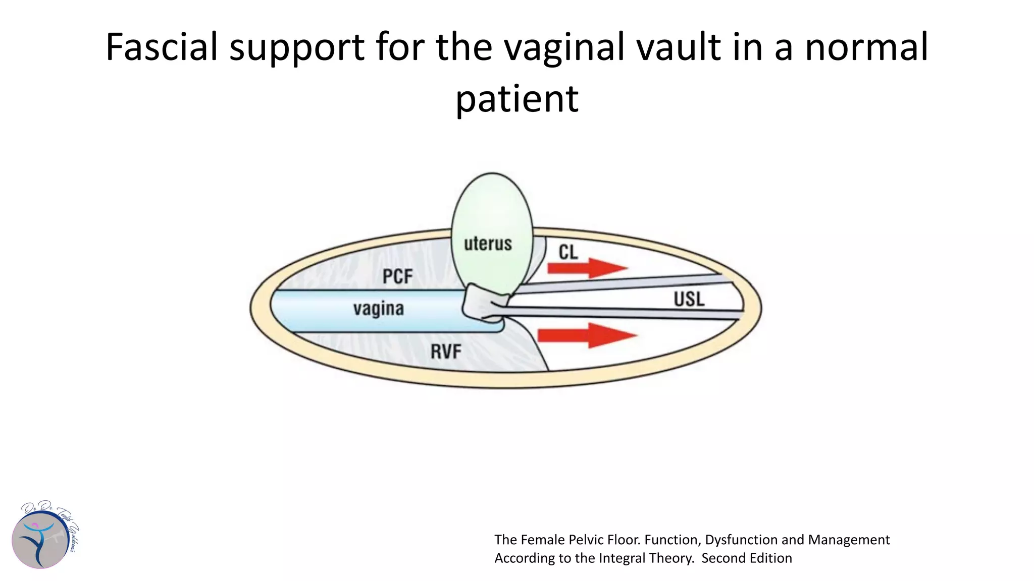 Pelvic anatomy in relation with pelvic organ prolapse | PDF