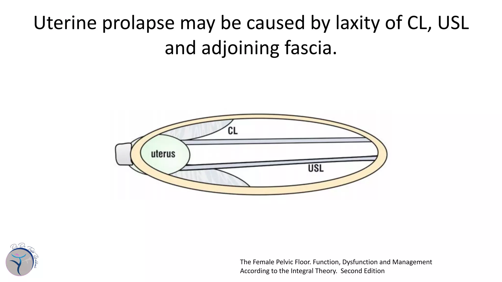 Pelvic anatomy in relation with pelvic organ prolapse | PDF