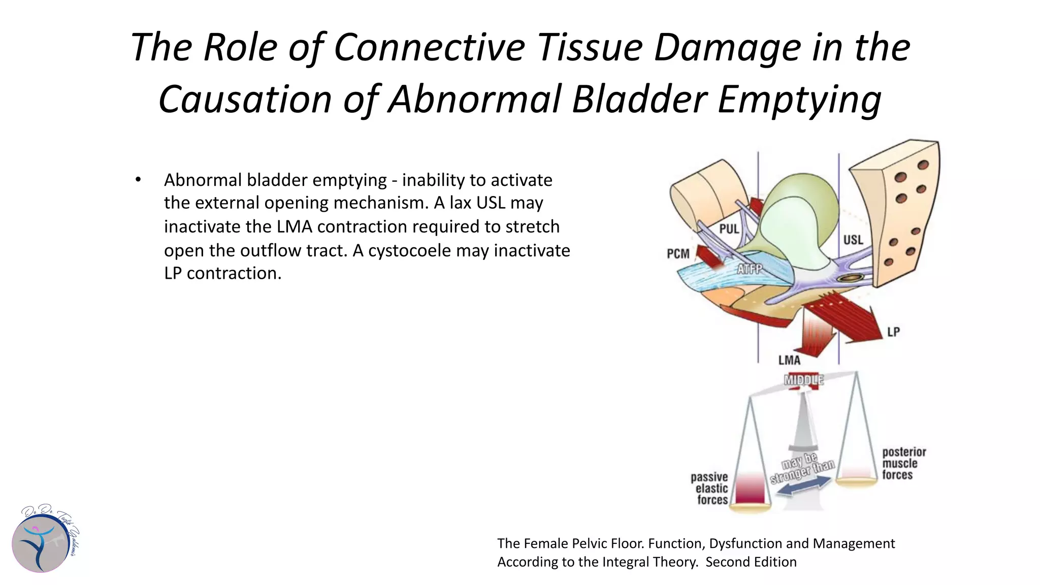 Pelvic anatomy in relation with pelvic organ prolapse | PDF