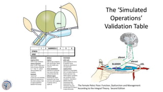Pelvic anatomy in relation with pelvic organ prolapse | PDF