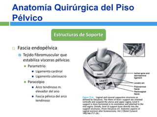 Cirugia Reconstructiva del Prolapso de Organo Pelvico | PPTX