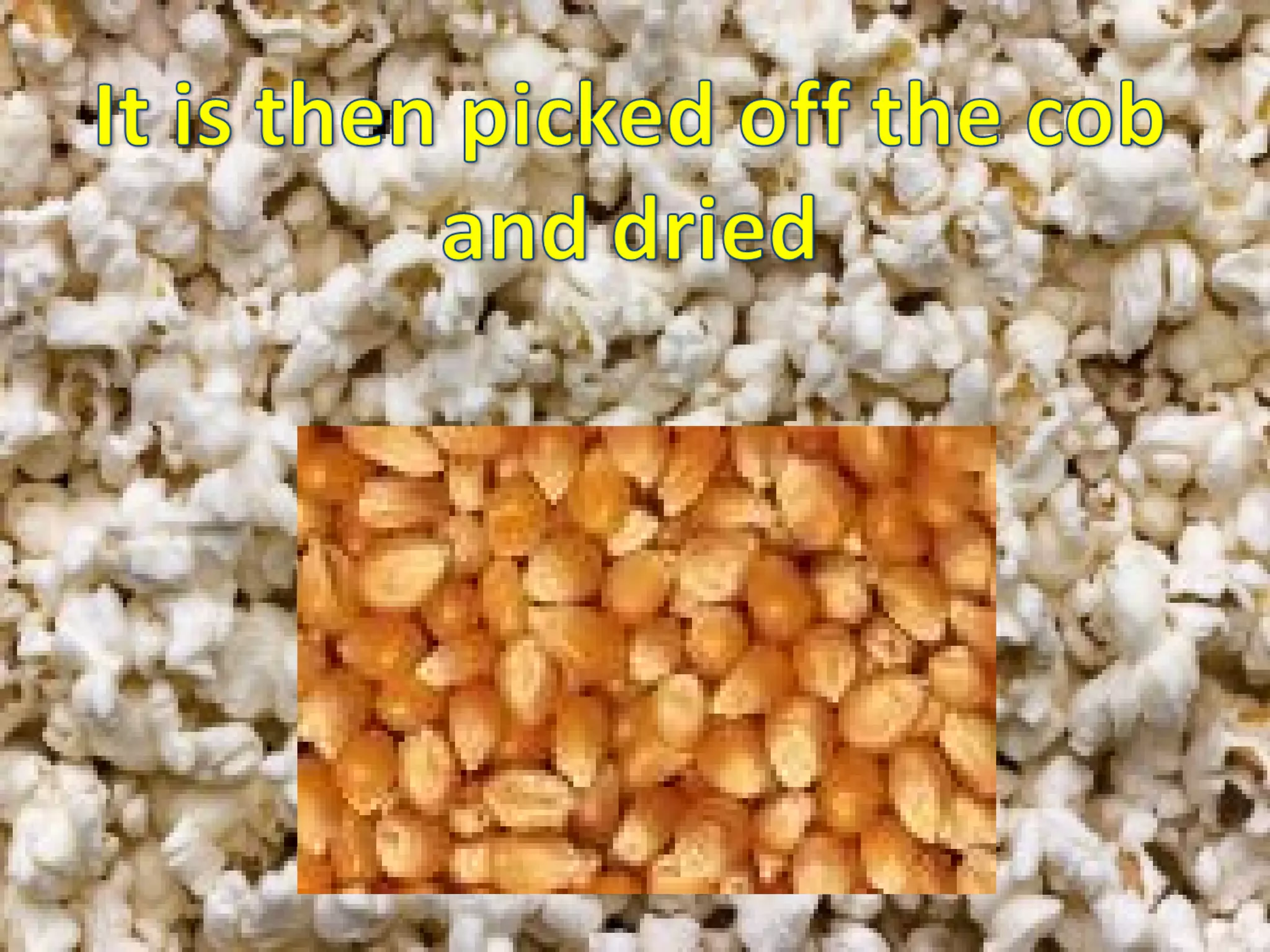 Popcorn | PPT
