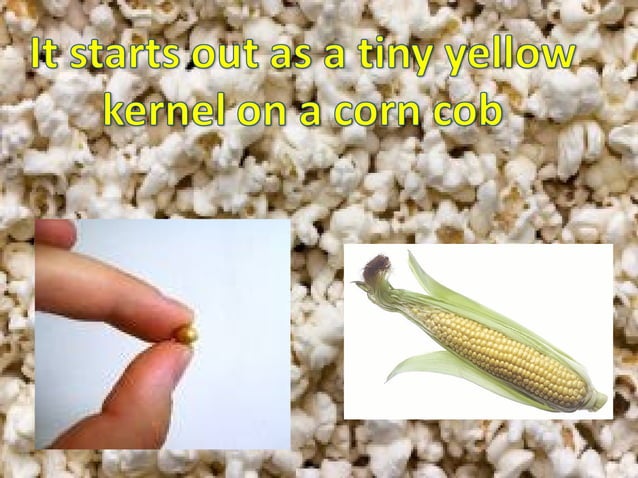 Popcorn | PPT