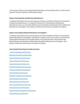 Popcorn Processing Project Report, Feasibility Study Report and ...