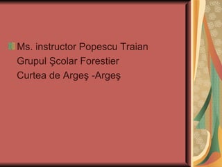 Popescu Traian Exemple De Bune Practici ,,Lucrator In Tamplarie | PPT