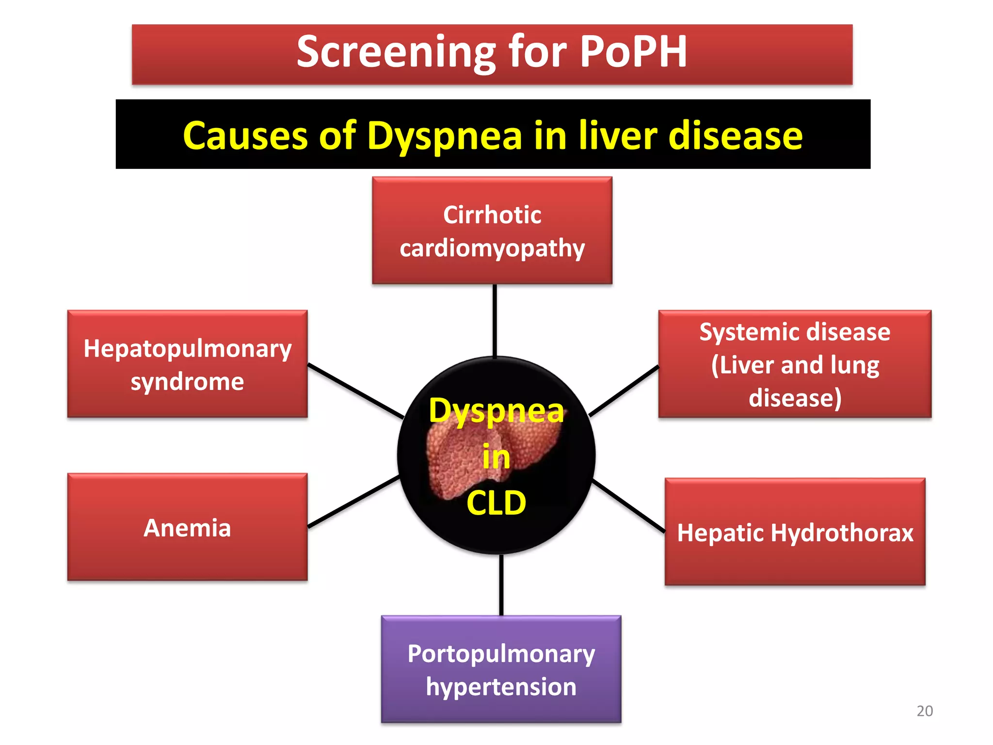 Portopulmonary Hypertension | PDF