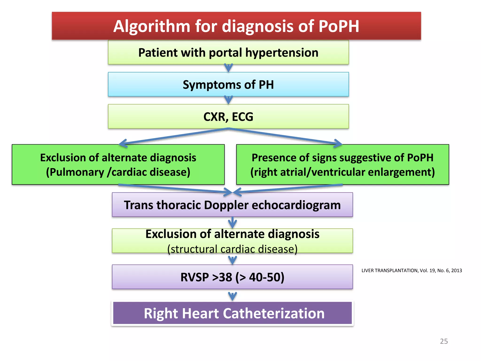 Portopulmonary Hypertension | PDF