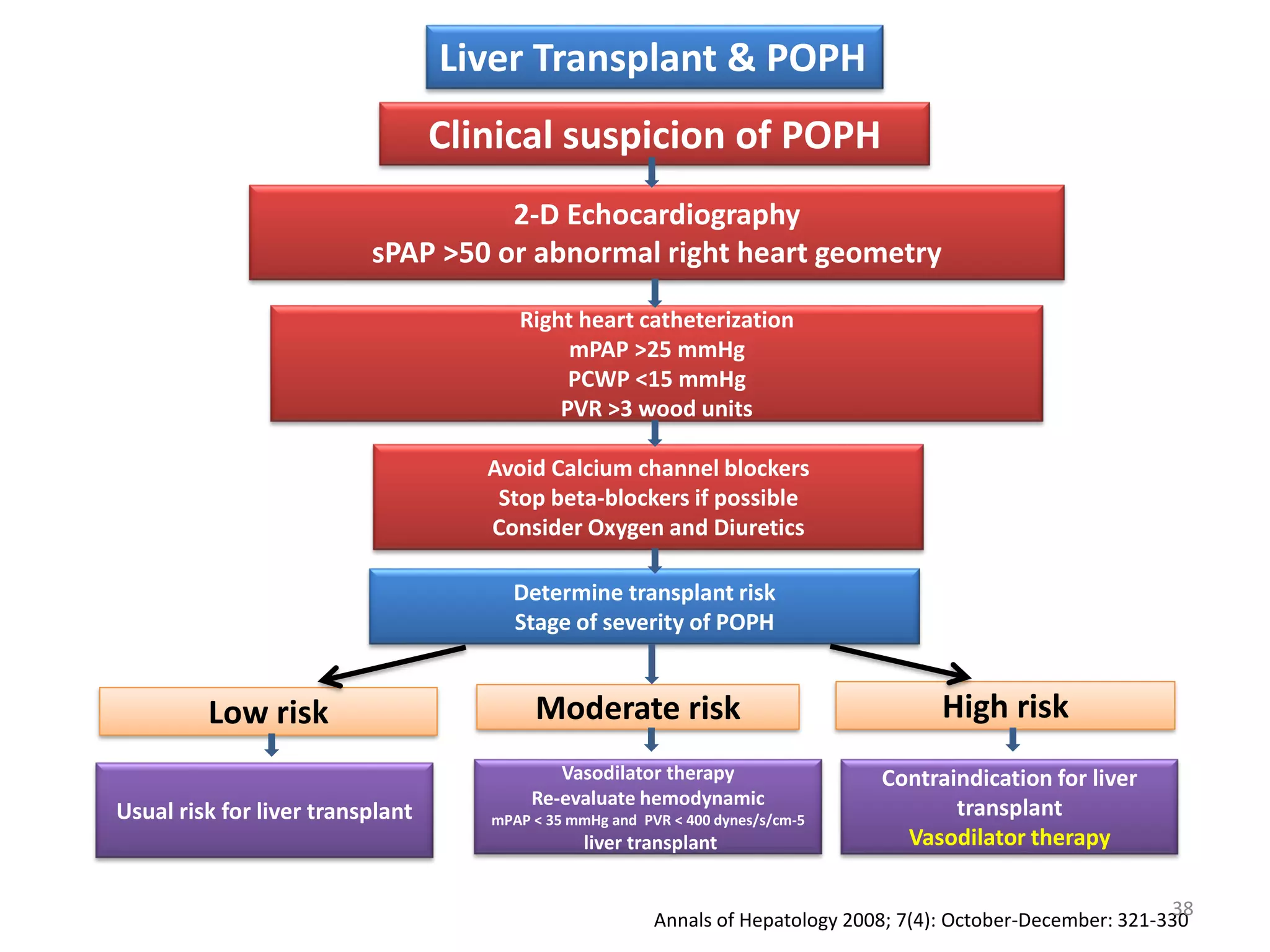Portopulmonary Hypertension | PDF