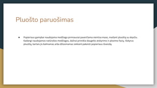 Popierius ir kartonas skaidres.pptx