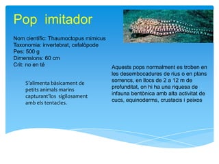 Pop imitador | PPTX