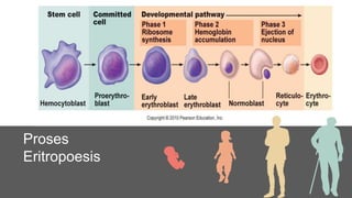 sistem hematologi | PPTX