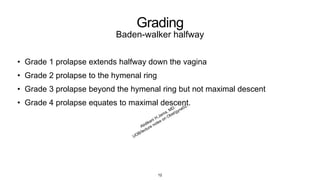 Pop lect | PPTX | Pregnancy | Reproductive Health