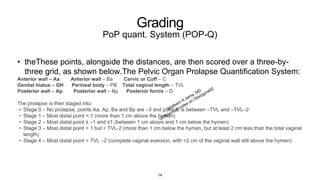 Pop lect | PPTX | Pregnancy | Reproductive Health