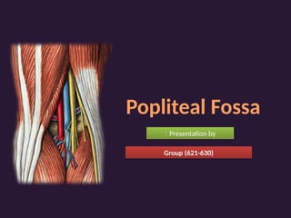 popliteal fossa and its boundaries .ppt
