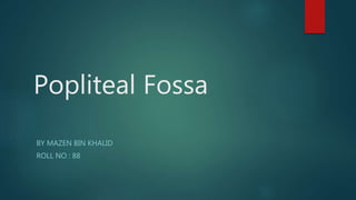 Popliteal fossa | PPTX