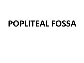 Popliteal fossa and Back of thigh pptx | PPTX
