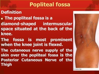POPLITEAL FOSSA.pdf
