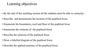 popliteal fossa.pptx | Death, Injury, or Military Conflict | Sensitive ...