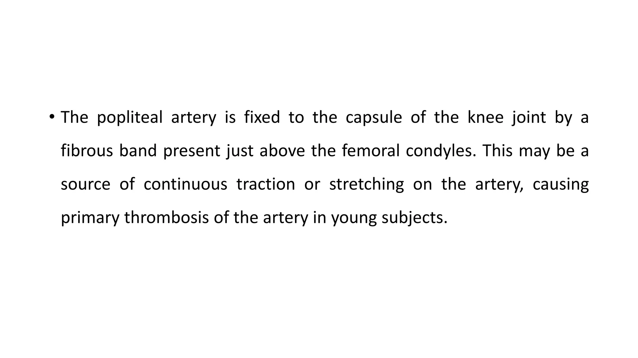 Popliteal Fossa.pptx