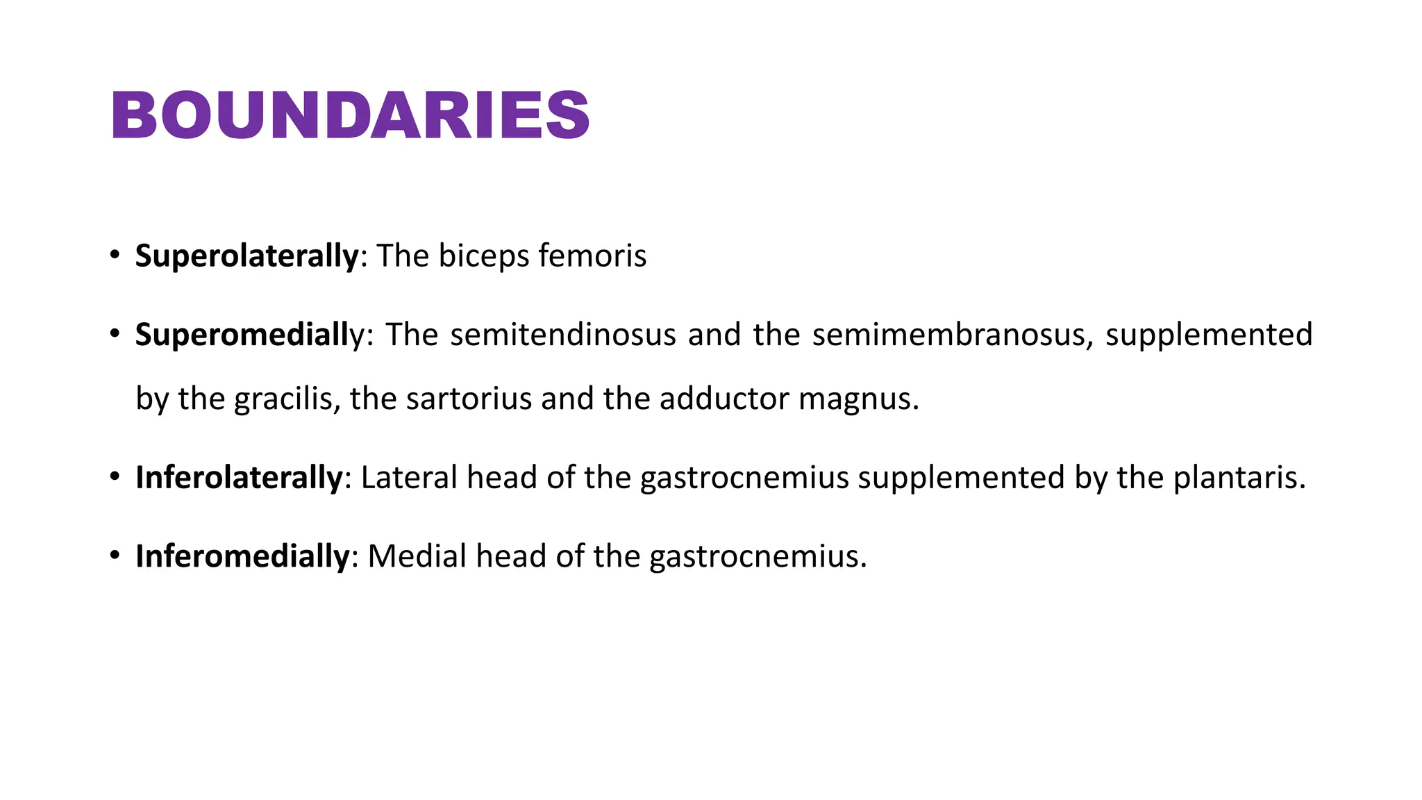 Popliteal Fossa.pptx