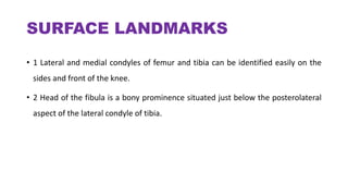 Popliteal Fossa.pptx