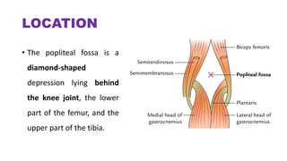 Popliteal Fossa.pptx