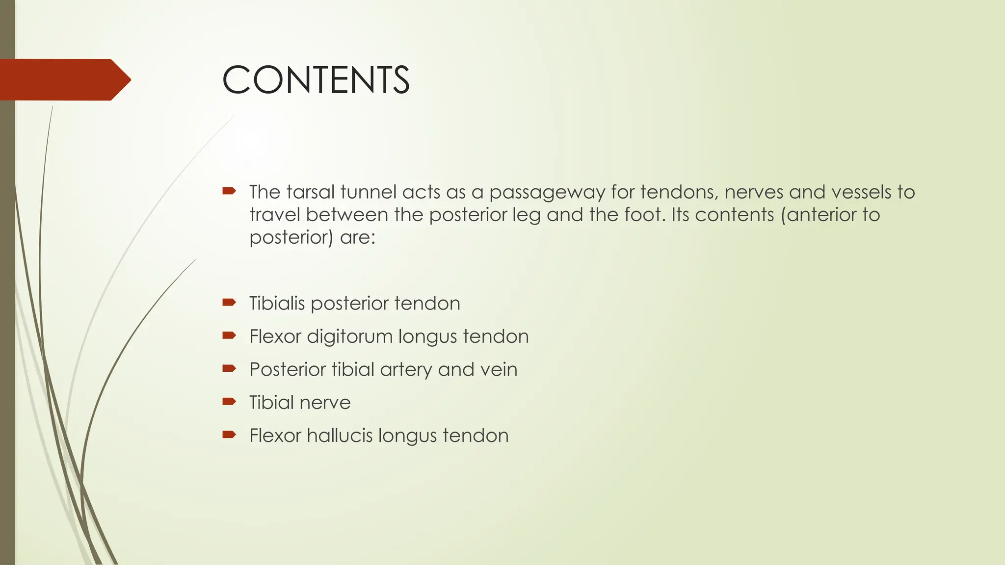 POPLITEAL FOSSA/knee fossa/ regional anatomy | PPT