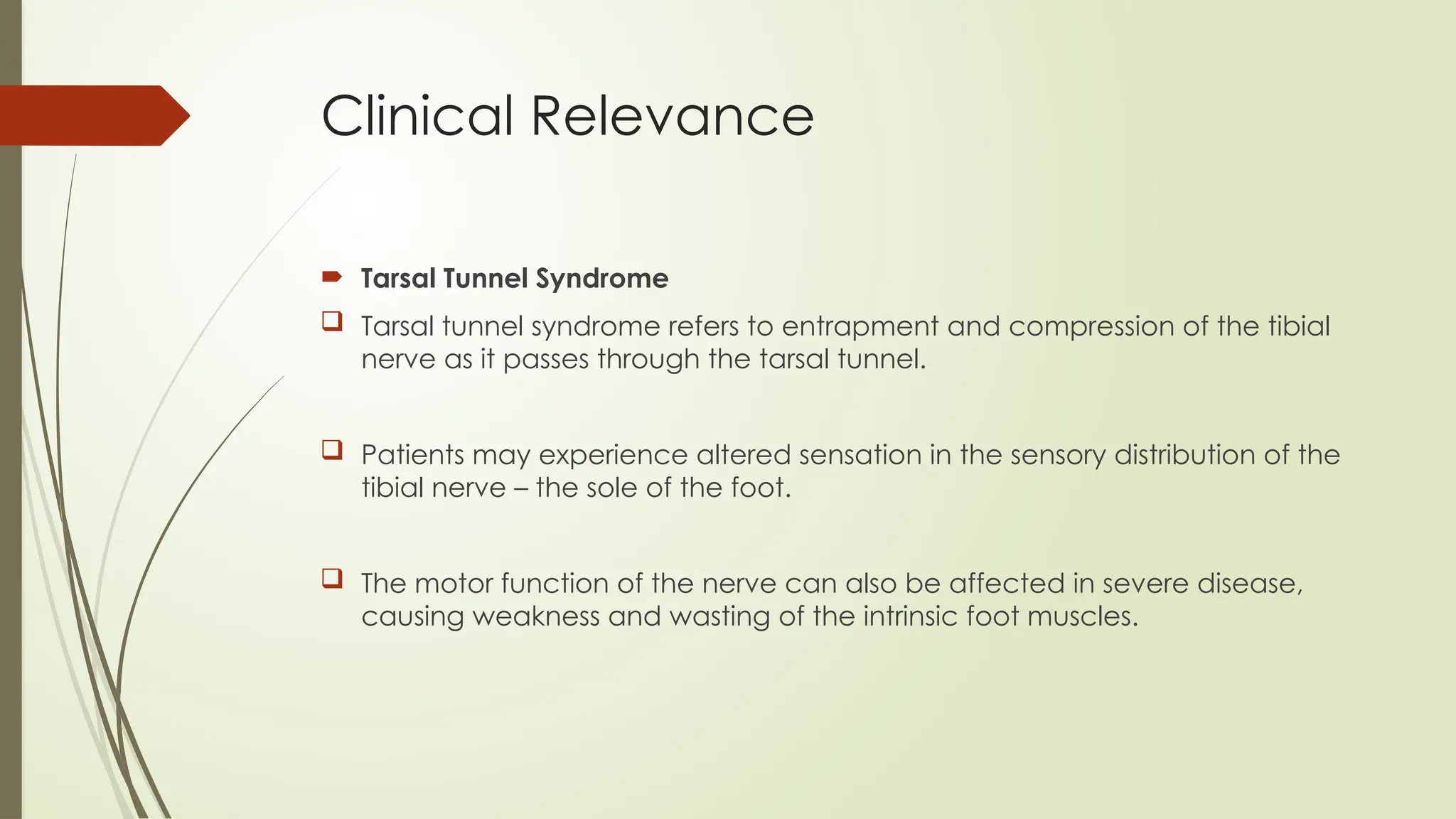 POPLITEAL FOSSA/knee fossa/ regional anatomy | PPT