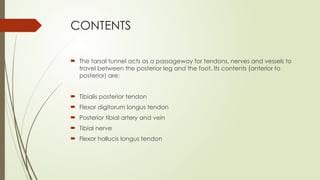 POPLITEAL FOSSA/knee fossa/ regional anatomy | PPTX