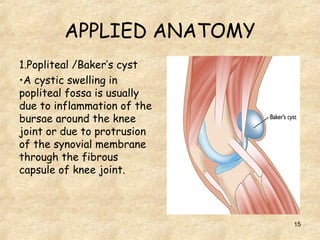 Popliteal fossa for Mmed and Medical students | PPT