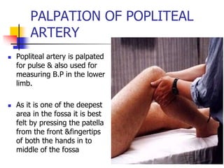 Anatomy And Applied Aspects Of Popliteal Fossa Final Ppt