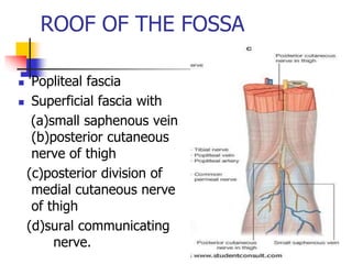 ANATOMY AND APPLIED ASPECTS OF POPLITEAL FOSSA FINAL.ppt