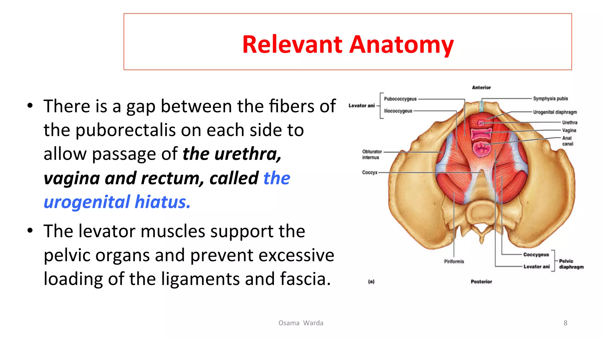 Pop (post graduate). prof. osama warda | PDF