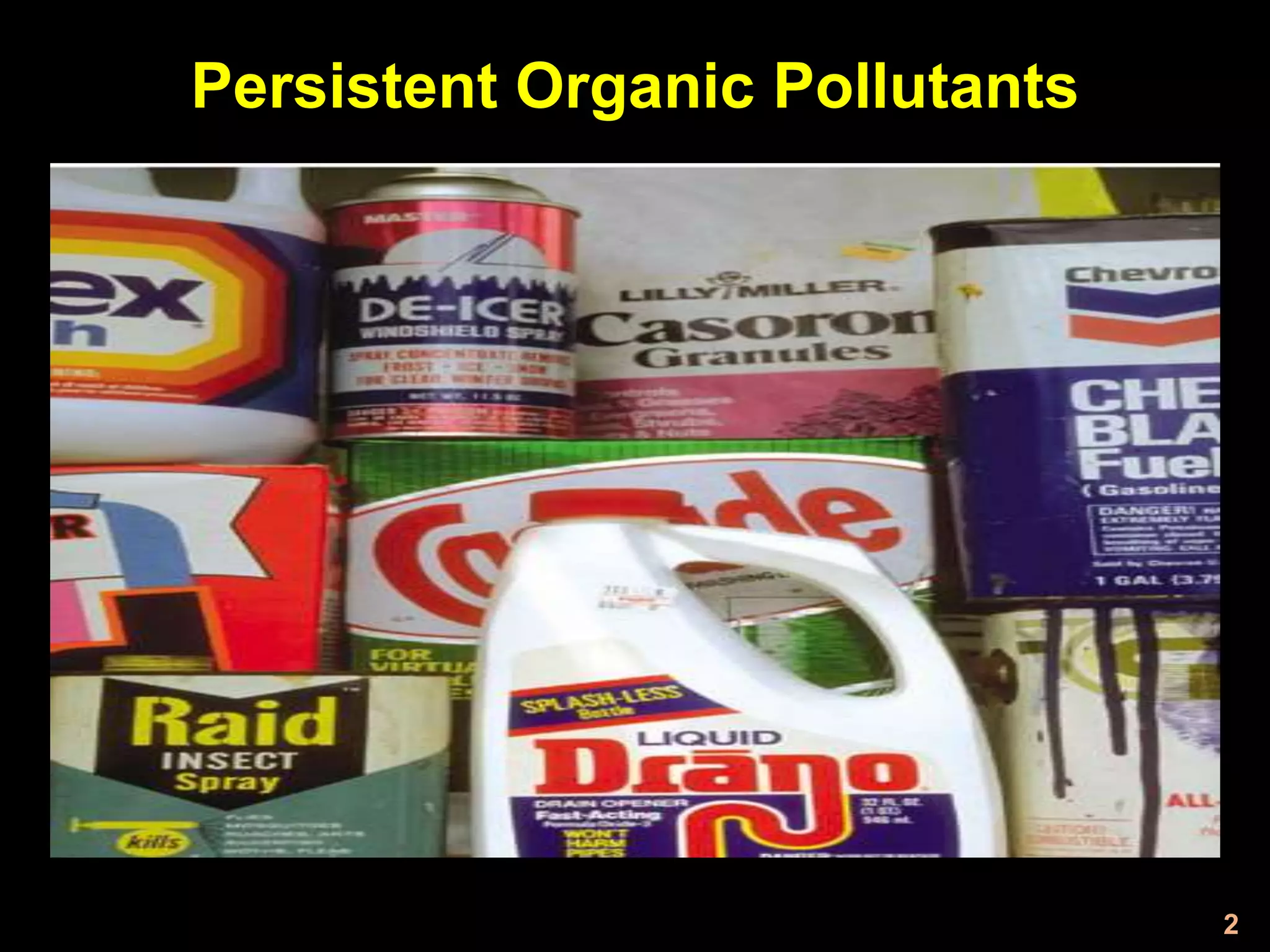 Pop presentation | PPTX