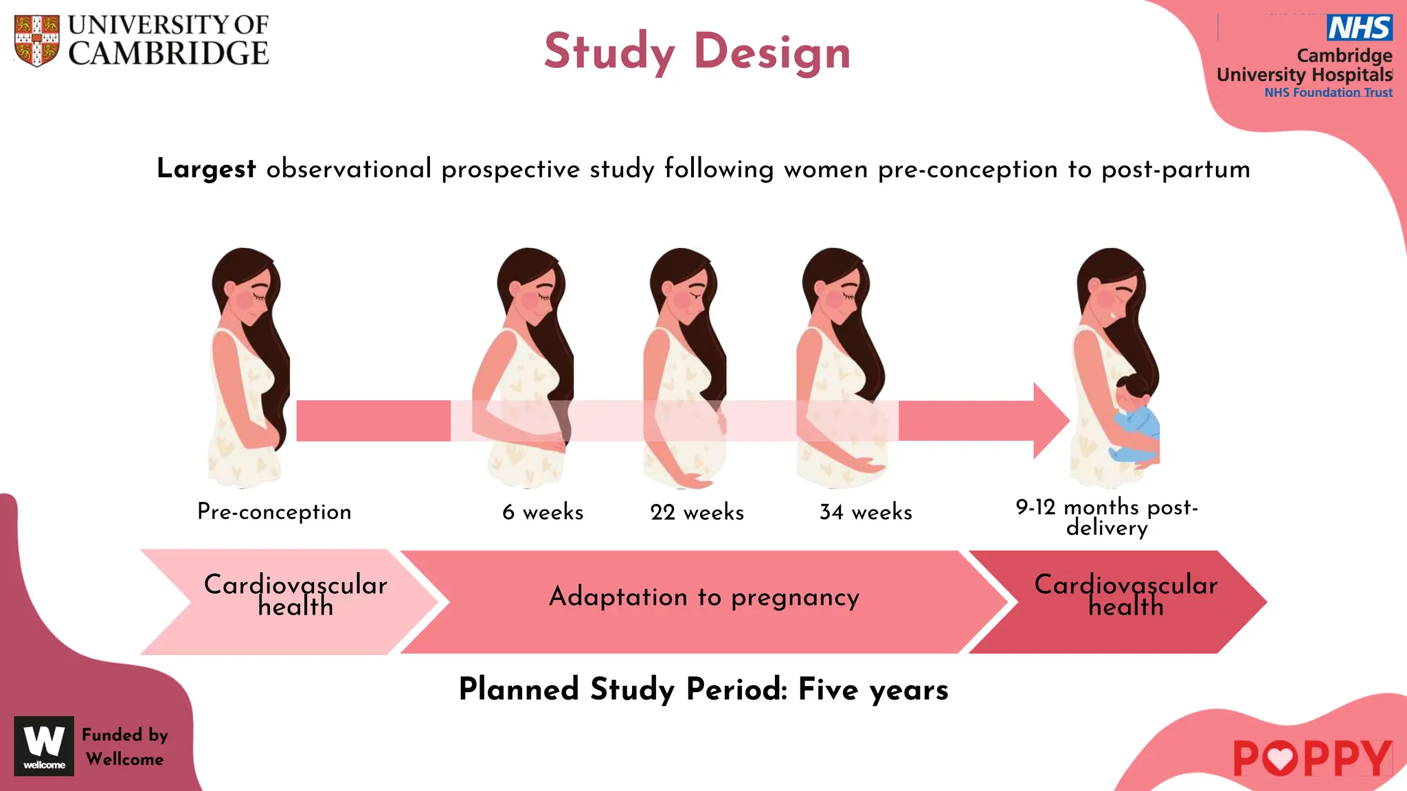 The POPPY STUDY (Preconception to post-partum cardiovascular function ...