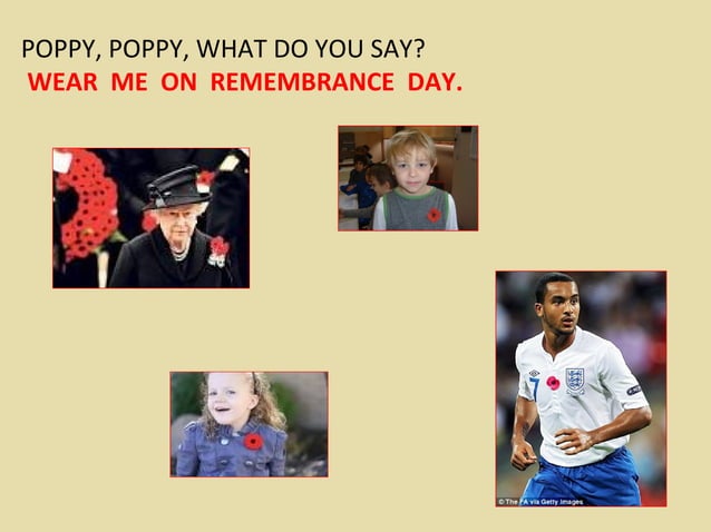 Poppy day | PPT | Free Download