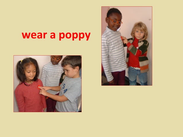 Poppy day | PPT