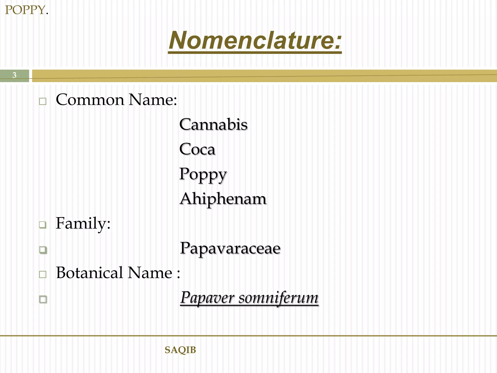 Production Technology of Poppy | PPTX