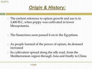 Production Technology of Poppy | PPTX