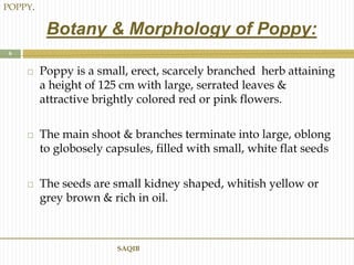 Production Technology of Poppy | PPTX