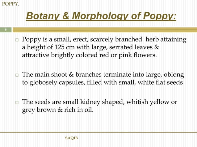 Production Technology of Poppy | PPTX | Gardening | Home & Garden