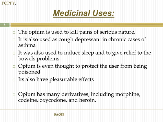 Production Technology of Poppy | PPTX | Gardening | Home & Garden