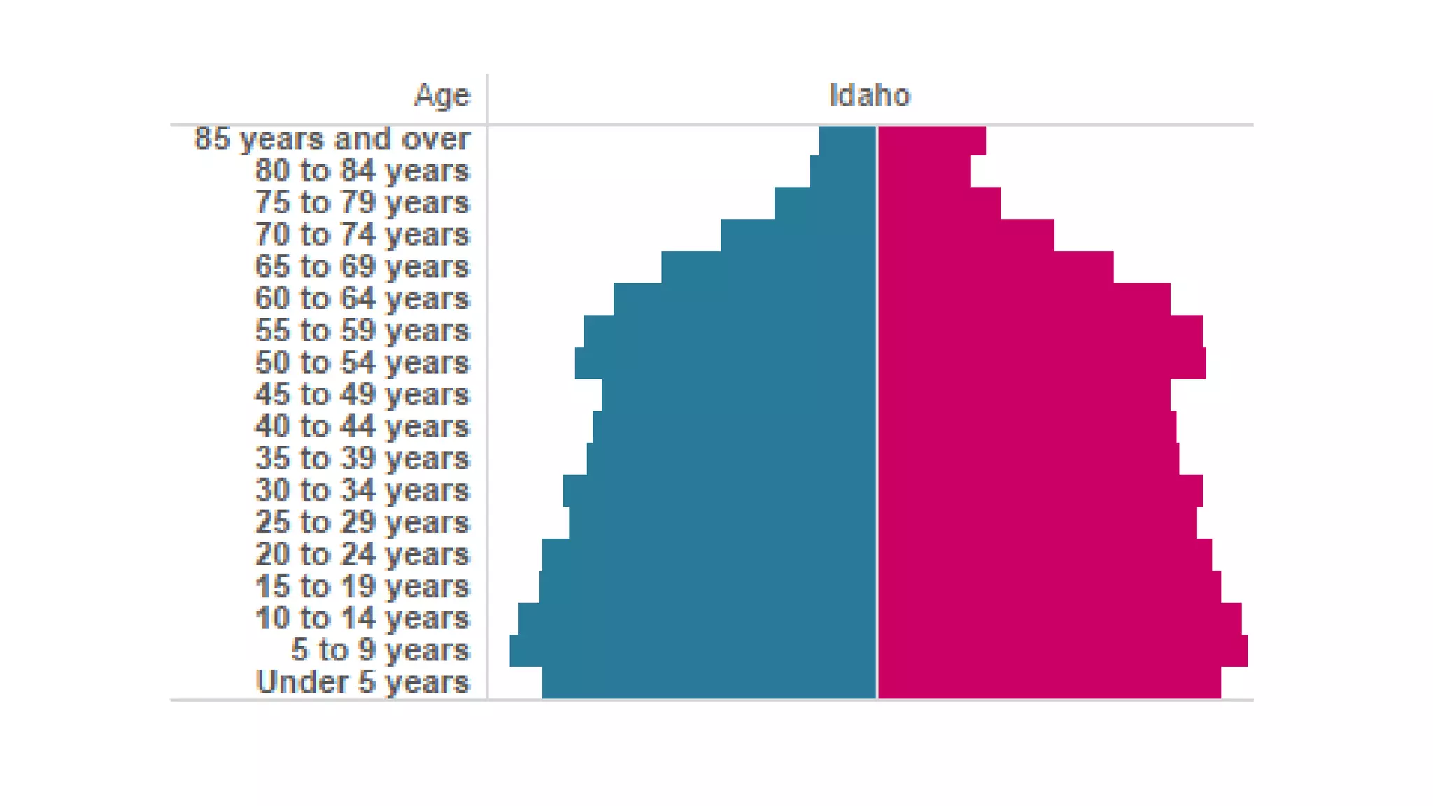State Population Pyramids | PPT
