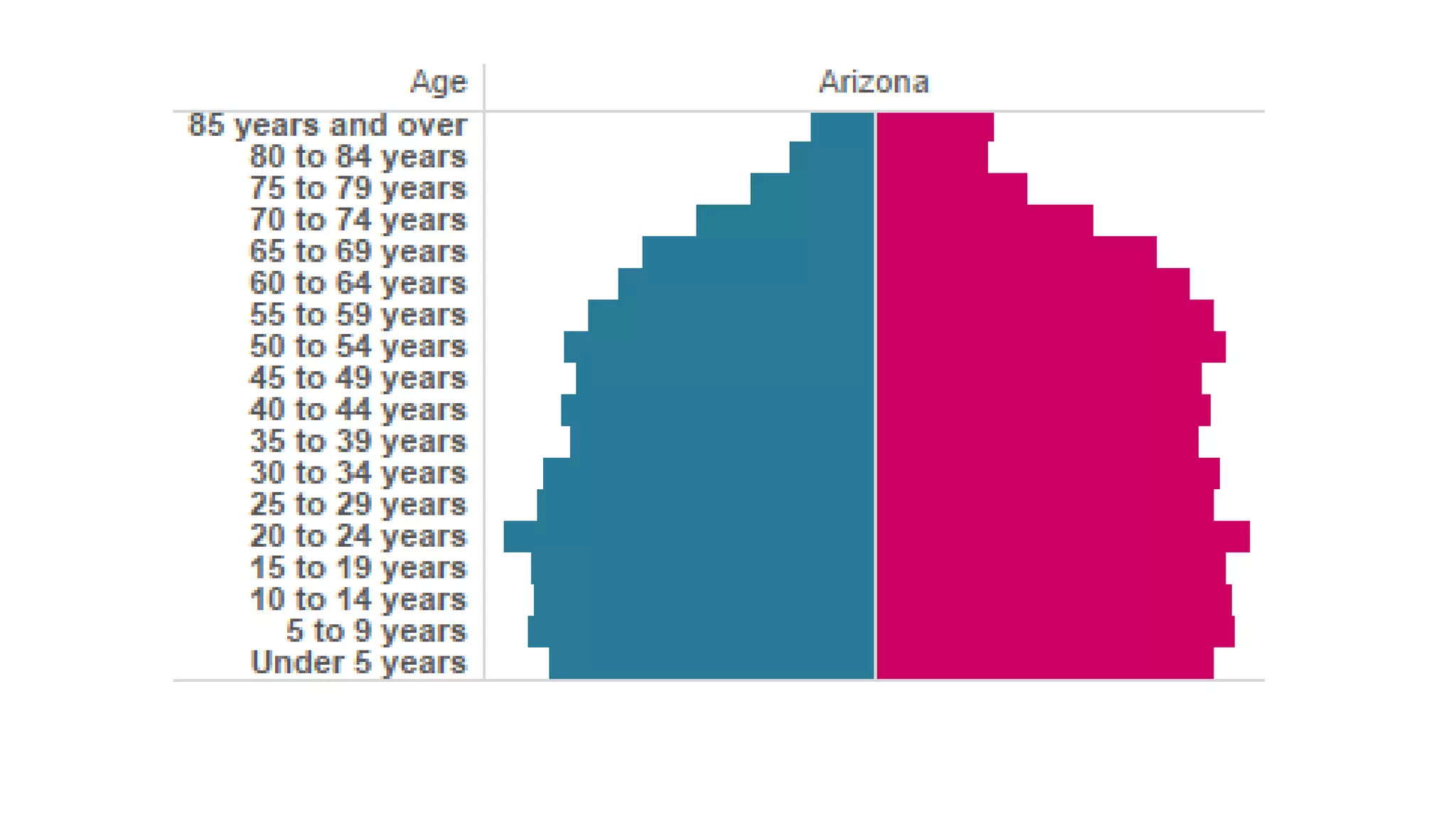 State Population Pyramids | PPT