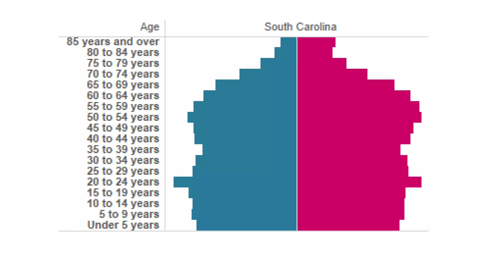 State Population Pyramids | PPT
