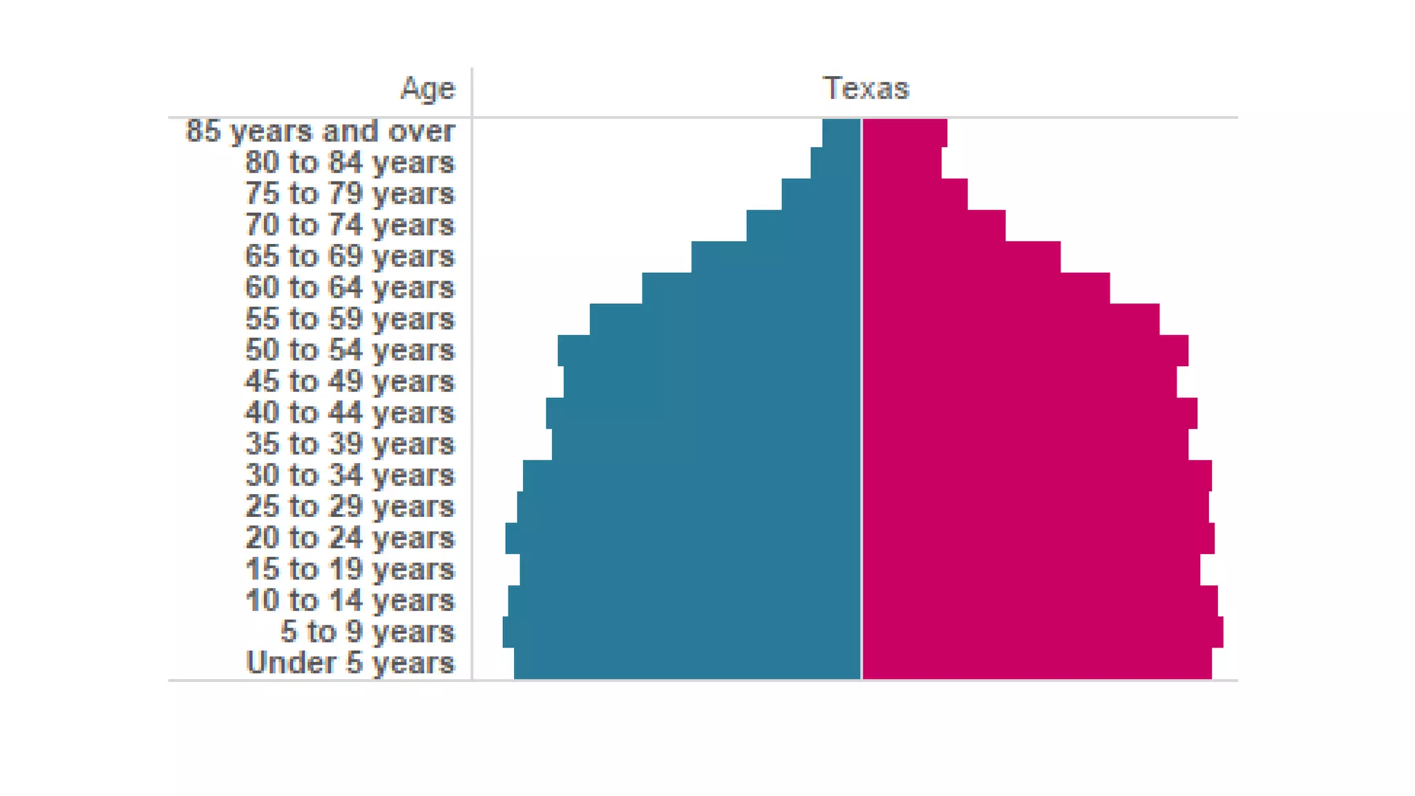 State Population Pyramids | PPT