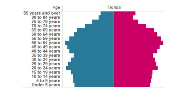 State Population Pyramids | PPTX
