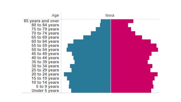 State Population Pyramids | PPTX